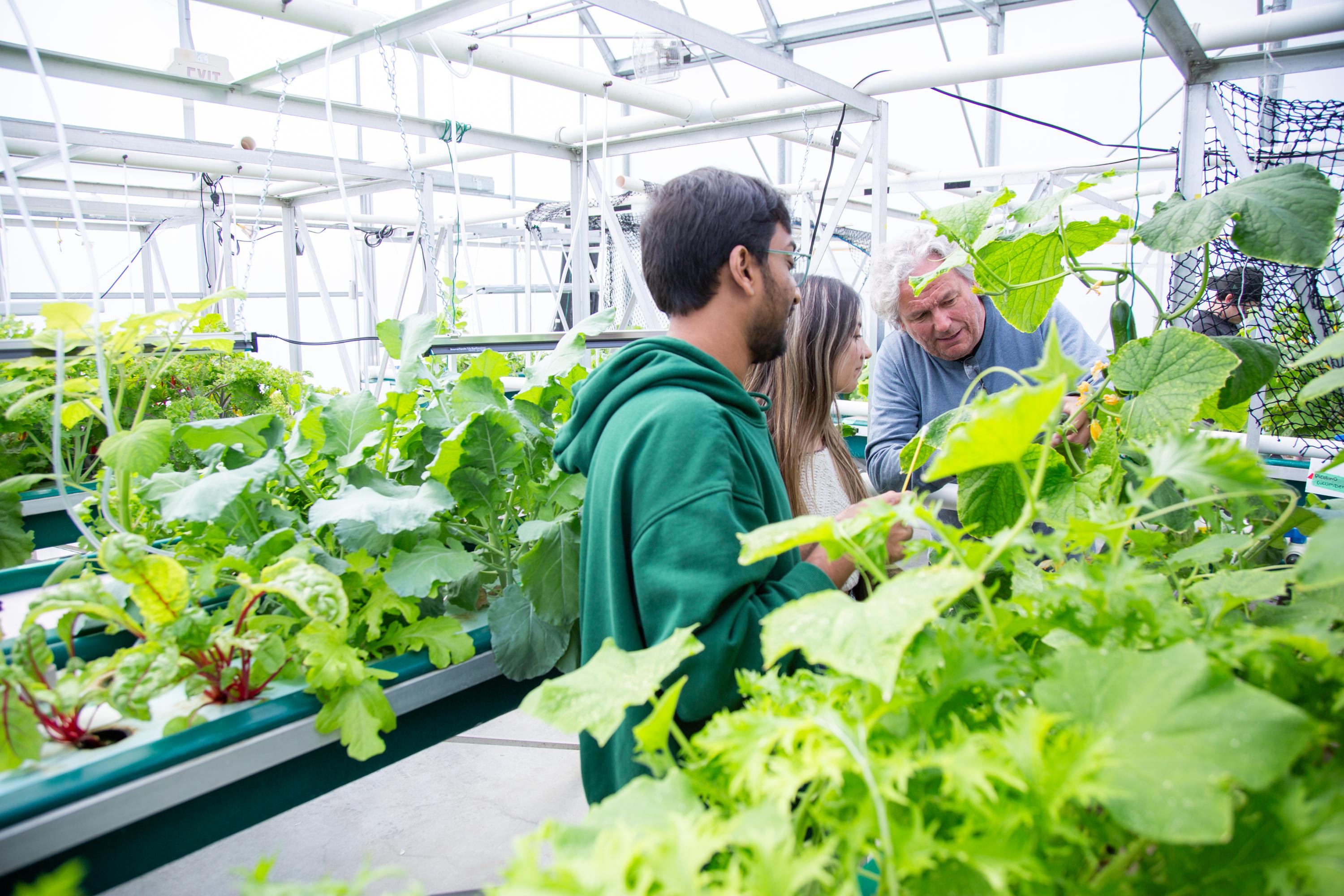 Fisheries and Aquaculture | Vancouver Island University | Canada